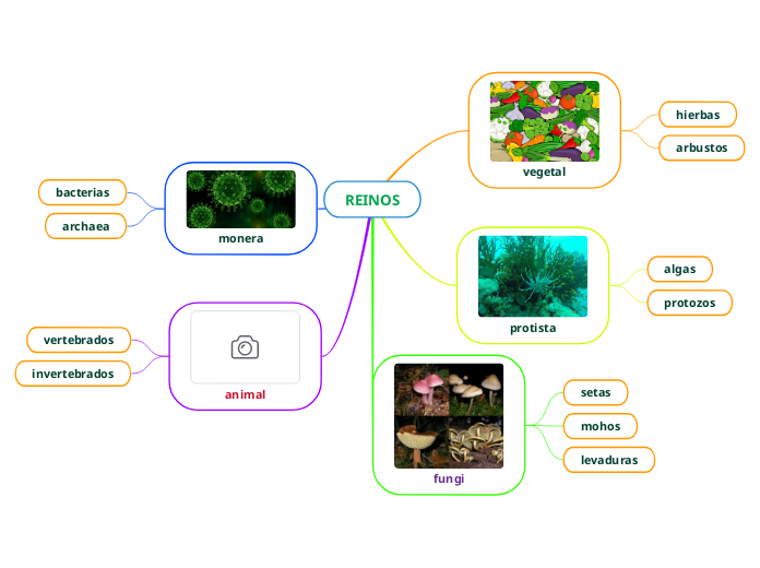 REINOS - Mind Map